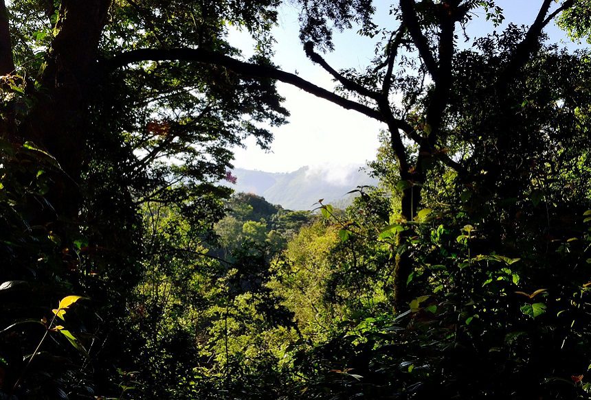 The 5 Most Beautiful National Parks in Uganda | FlightsHotelsBook