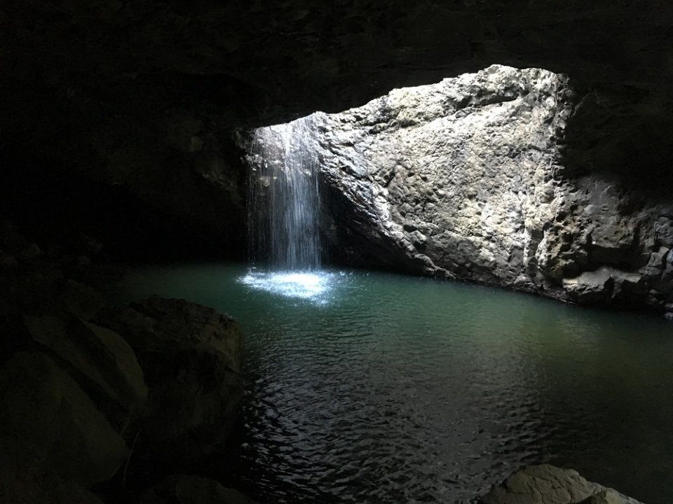 Glow Worm Caves & Springbrook National Park | FlightsHotelsBook