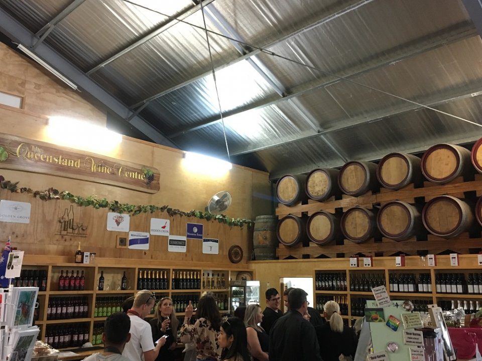 Glow Worm Caves & Springbrook National Park | FlightsHotelsBook